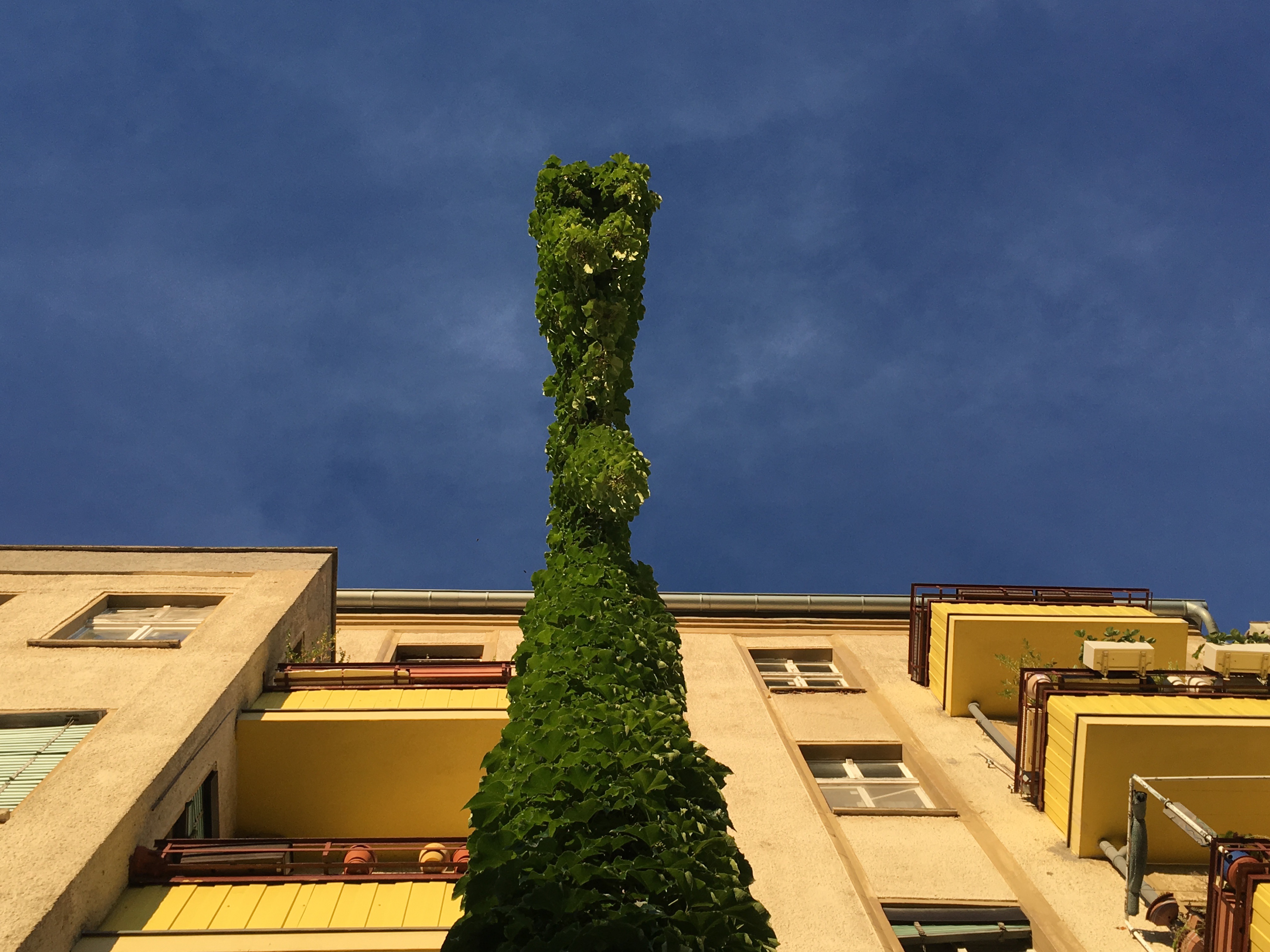 Overgrown Streetlamp Berlin - bilderbook